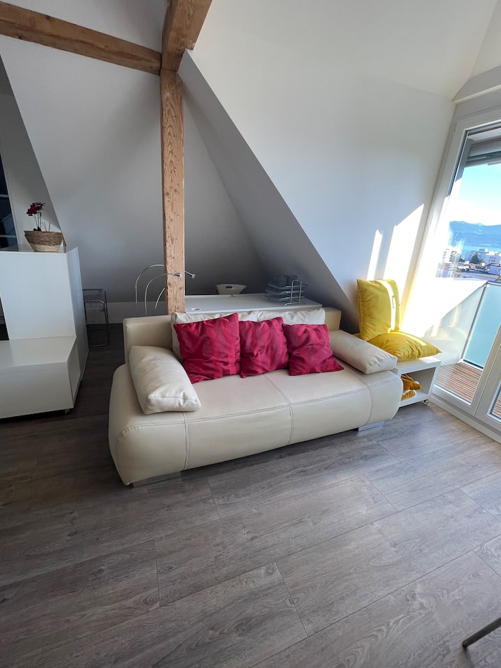 Magnifique Meublé - Lausanne