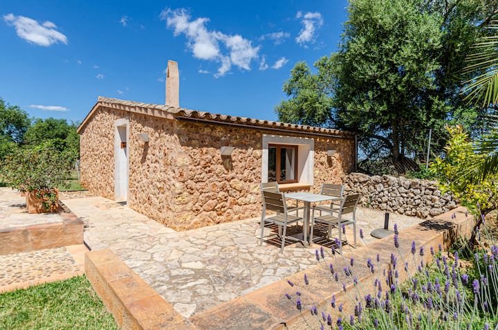 Appartement Galliner à L’agrotourisme Can Porreti - Algaida