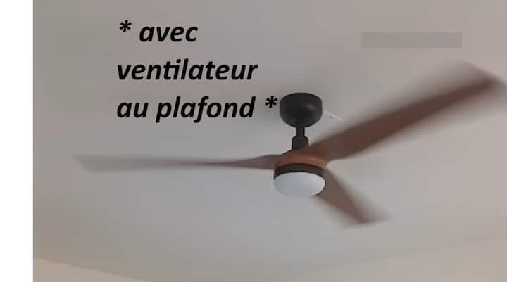 Grange Blanche Ii Avec Ventilateur Au Plafond - Lyon