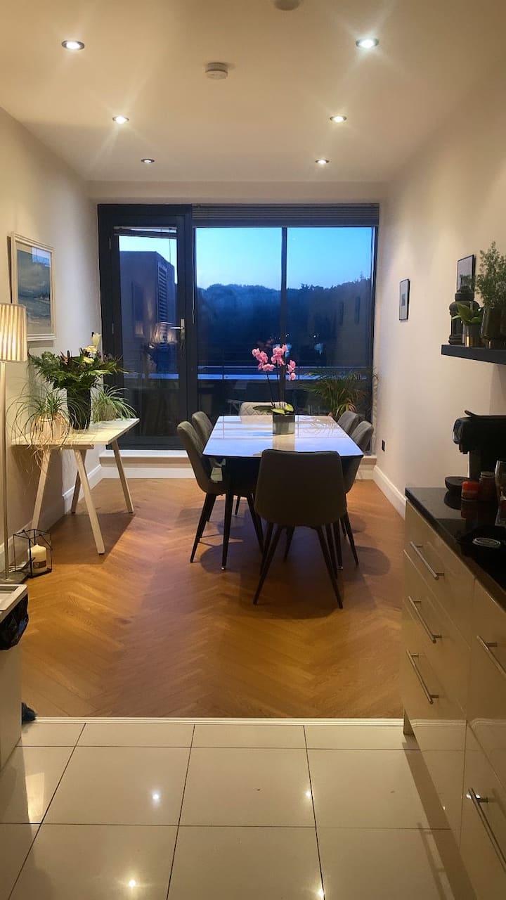 Stylish Rooftop Apartment Dublin 8 - Dublin, Ireland