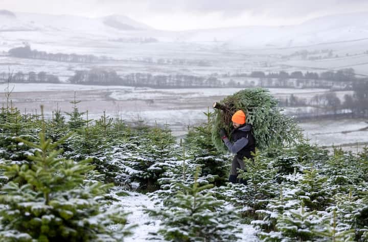 Warm & Cosy Cottage Central Peak District - イーデル