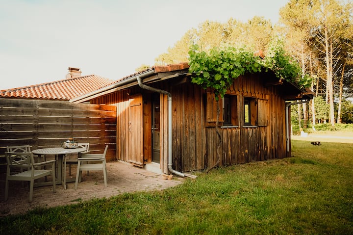 La Fournière De Jean - Lit-et-Mixe