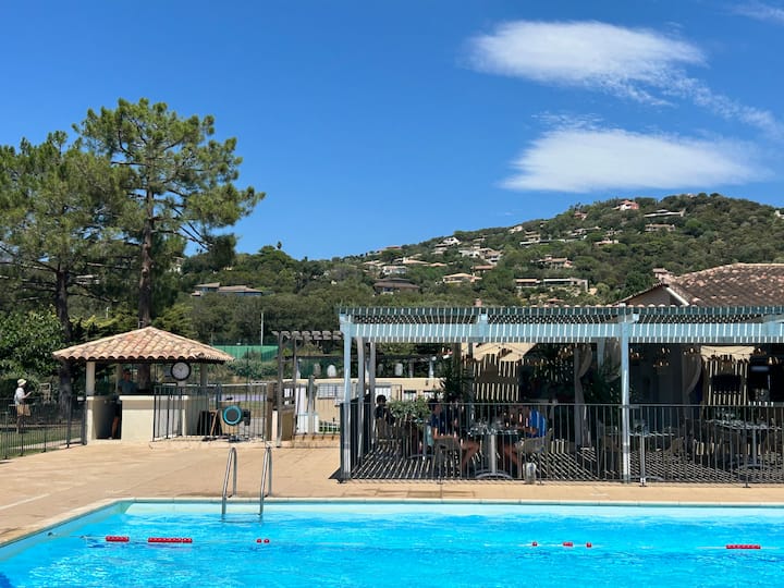 Vue Exceptionnelle Sur Le Golfe De Porto-vecchio - Lecci