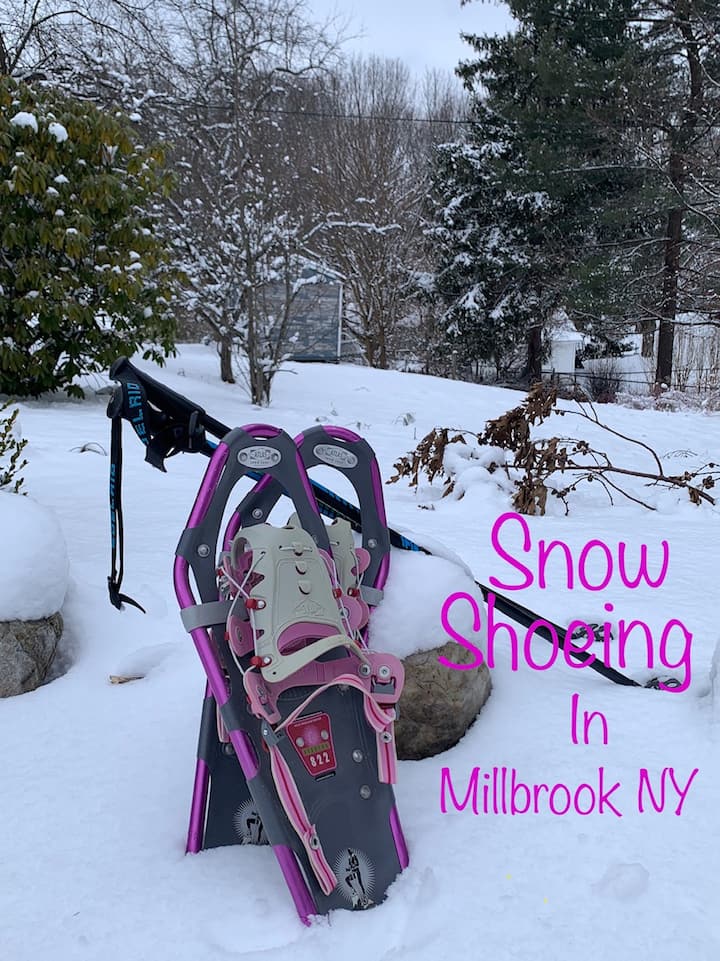 Millbrook Village - Merritt Suite - In The Village - Millbrook, NY