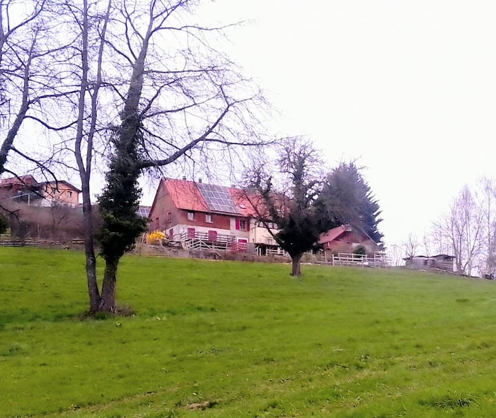 Chez Catherine - Munster