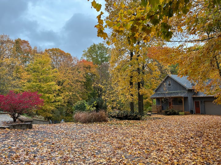 Luxury Cottage In The Woods - Kingston