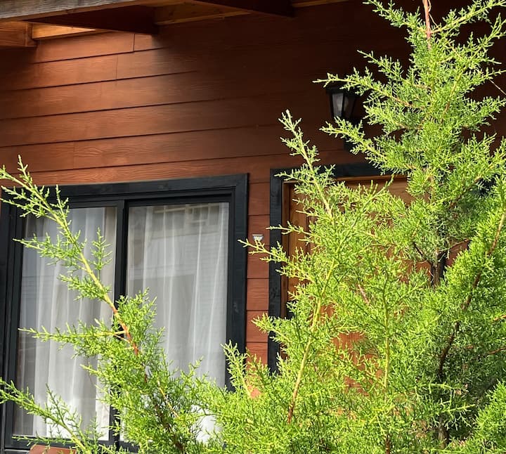 Apartamento Ciprés A En Castro, Chiloé - Castro, Chile