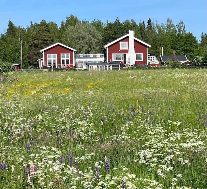 Magasinet I Järvsö -  Upplevelser Järvsö! - Järvsö