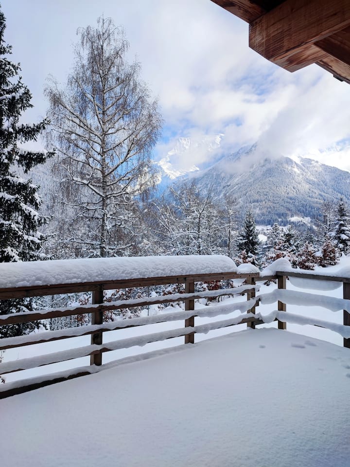 Les Pierres Blanches (Appartement Dans Chalet) - Les Houches