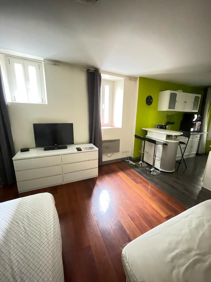 "La Pause Historique"  Grand Studio Centre Ville - Chambéry