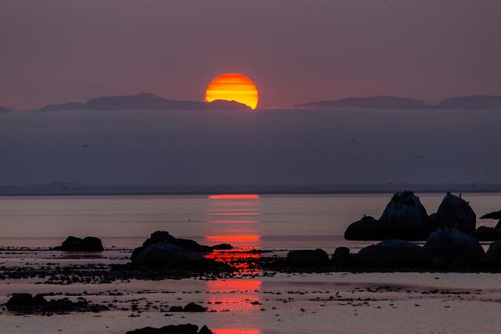 Family Friendly, Hot Tub,wi Fi ,Kayak,pets Welcome - Saint Helena Bay
