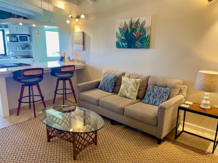 Ocean View 2 Bedroom Minutes To Cruz Bay - Cruz Bay