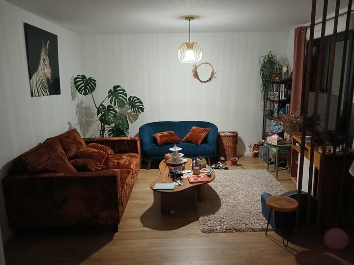 Maison Lumineuse De 150m2 - Rennes