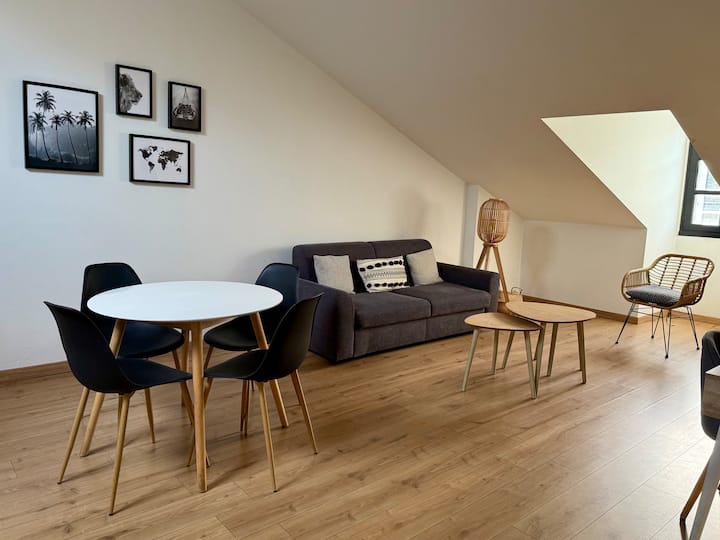 Charmant Appartement à Deux Pas Du Château - Angers