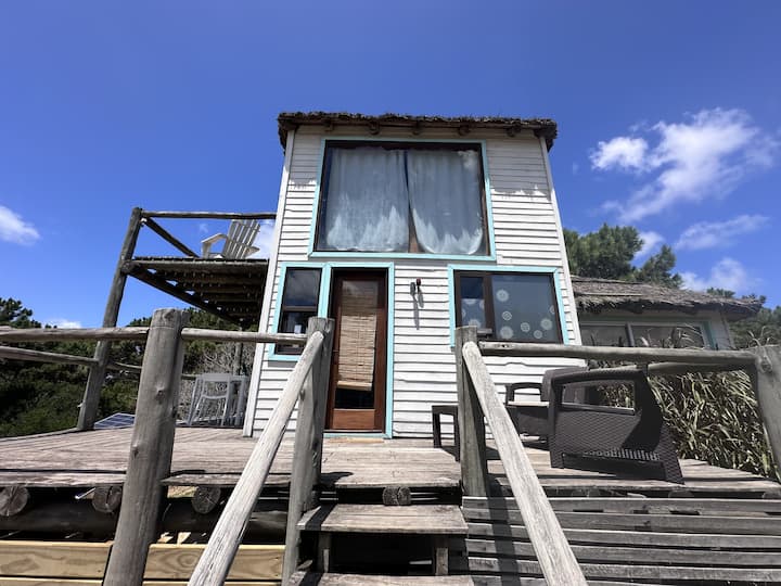 Dentro Del Bosque, Frente Al Mar. Paz Y Paisaje X5 - Uruguay