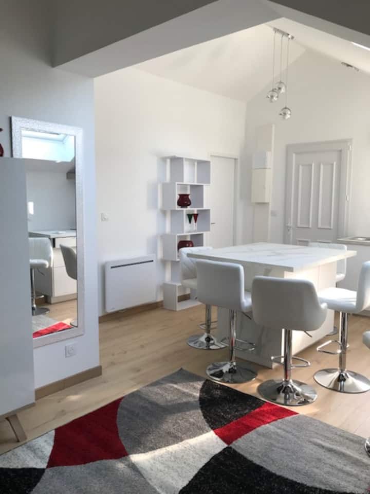 Appartement 5 Grandes Chambres Angers - Maine-et-Loire