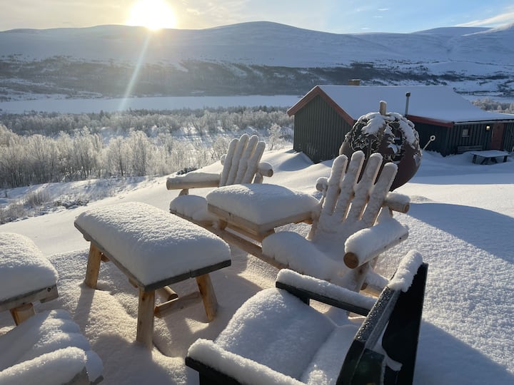 Bo I Moskusens Rike På Dovrefjell - Hjerkinn