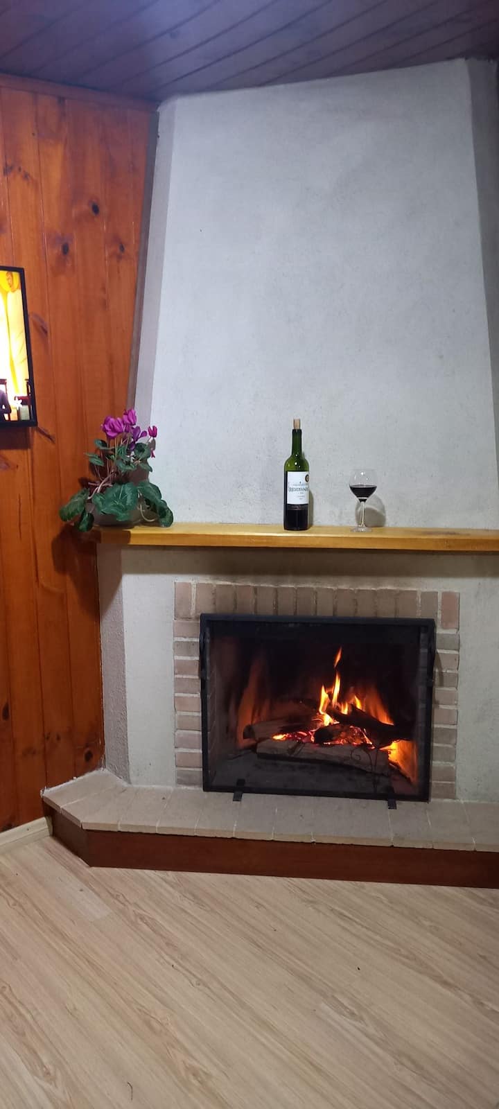 Casa Modesta - Campos do Jordão