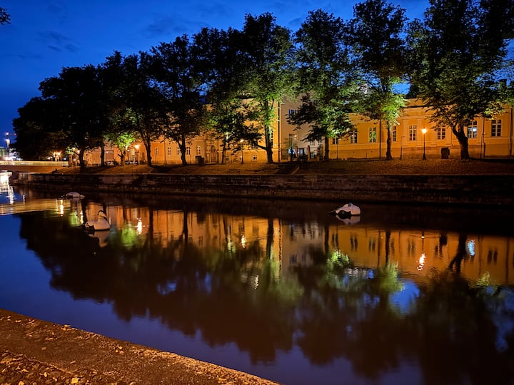 Kaksio 300 Metriä Turun Kauppatorista - Turku