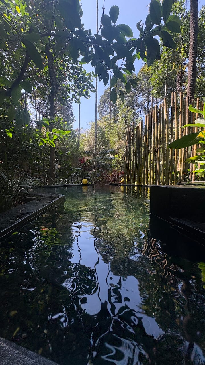 Nature’s Lap Farmville|waterfall View|plunge Pool - Kerala