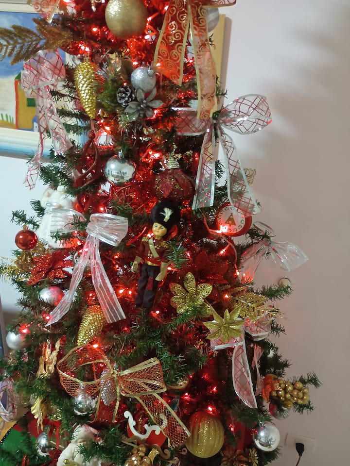 Dec Especial De Natal Condomínio Cotia Gv. - Osasco