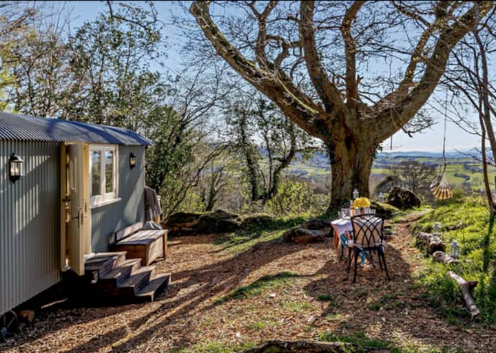 Cosy & Secluded Shepherd's Hut With Hot Tub - Monmouthshire