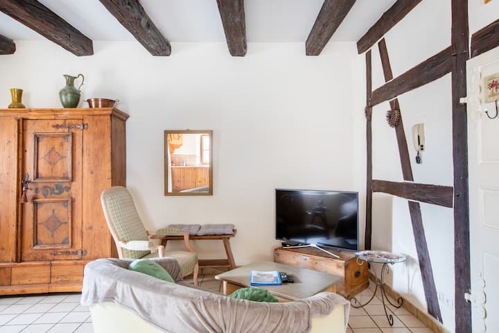 Le Sylvaner/au Cœur Du Village De Riquewihr - Kaysersberg
