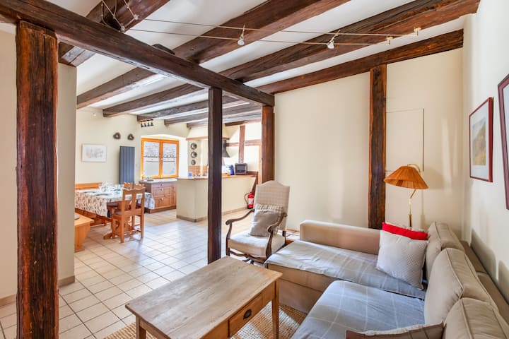 Le Riesling – Appartement Spacieux En Plein Centre - Riquewihr