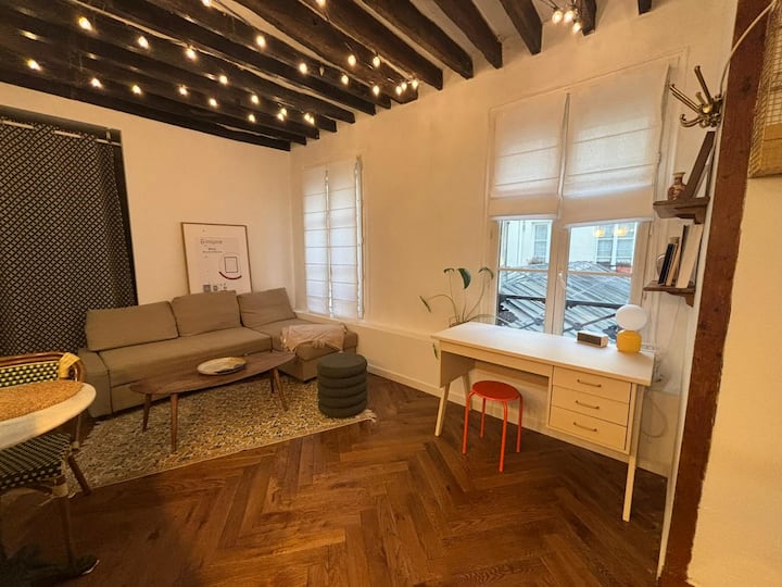 Place Des Vosges - Le Marais - Cosy Apartment - Paris
