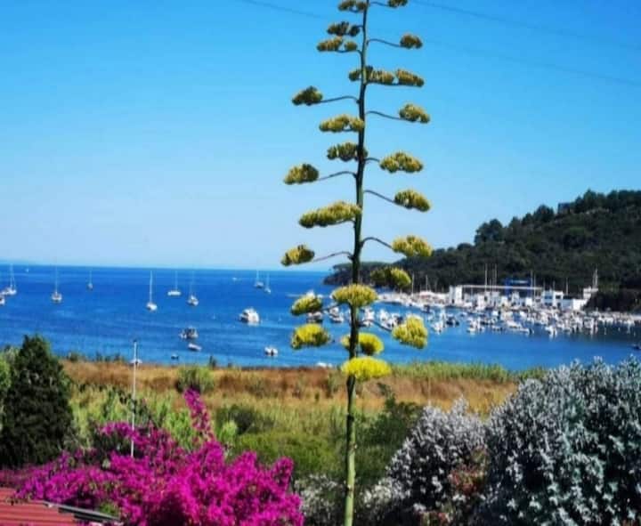 Vista Sul Golfo - Elba