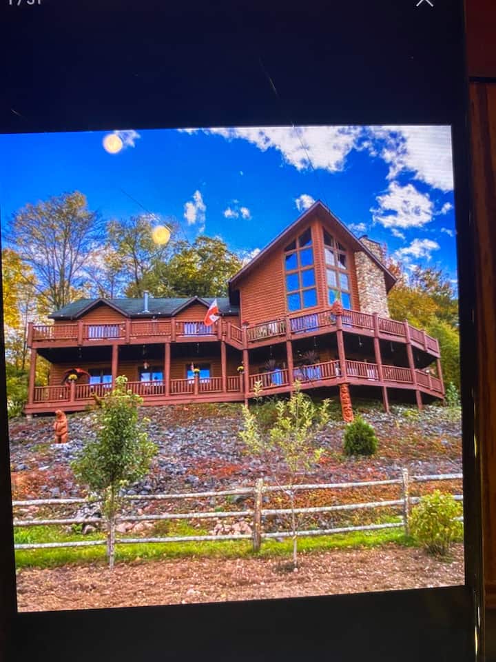 In The Heart Of The Forest. - Bethel, NY