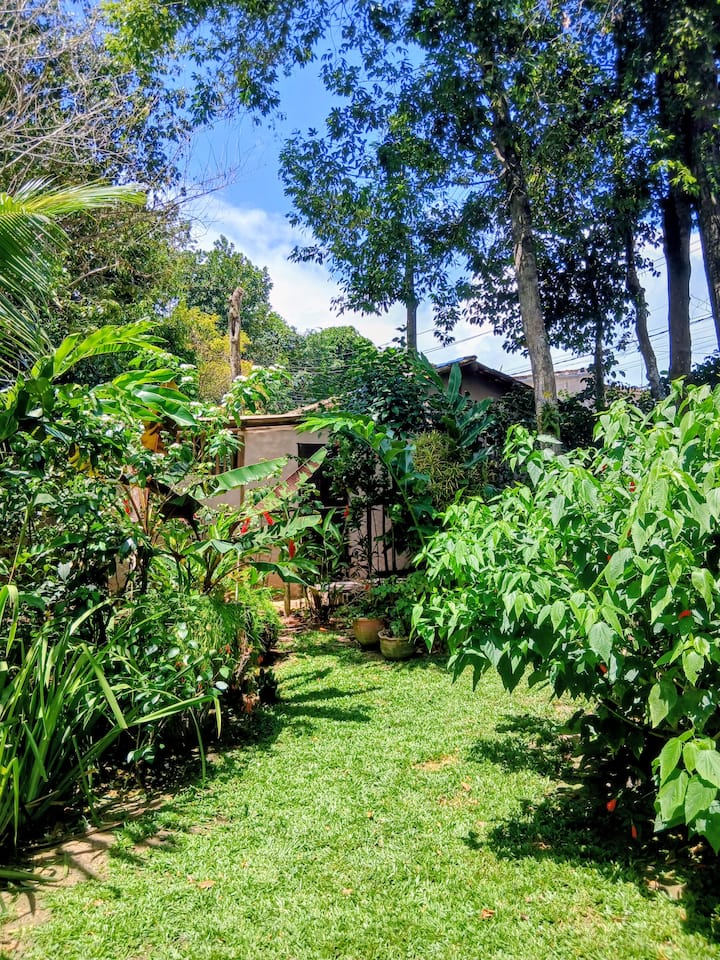 Chalé Alméscar  Trancoso - Trancoso