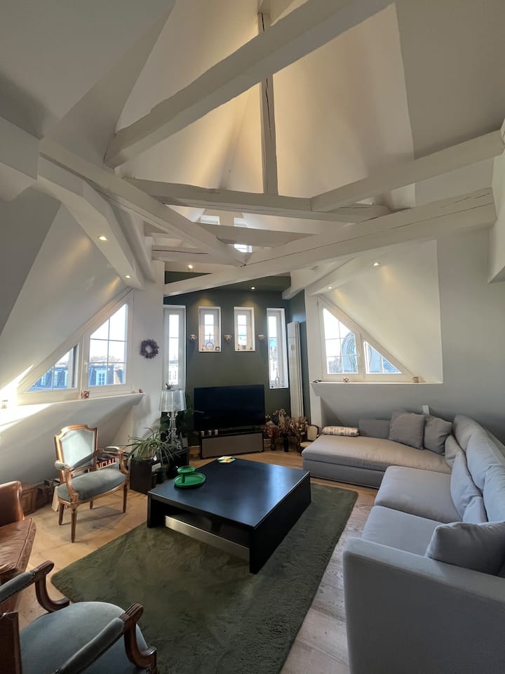 Très Bel Appart. Fam. Centre Ville - Strasburgo