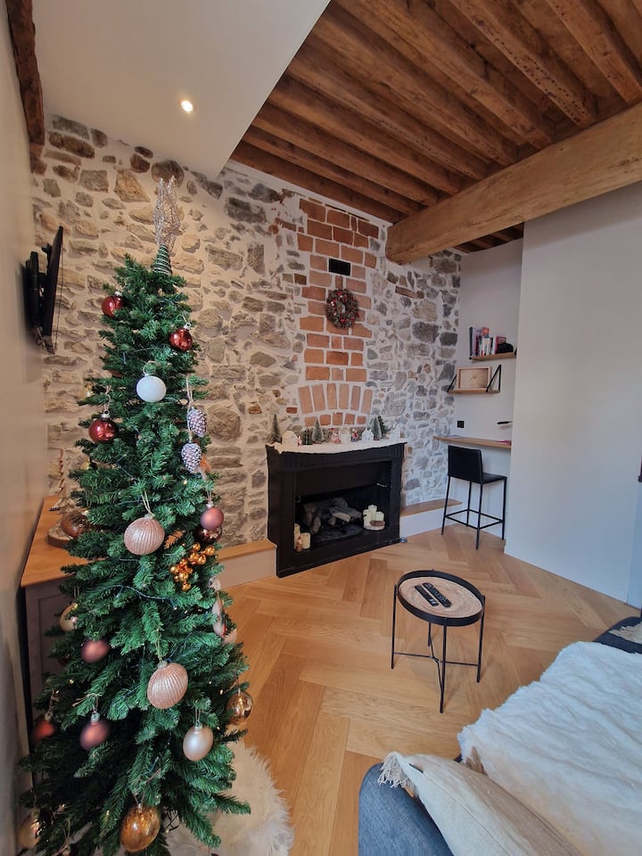 Studio "Le 1729" Hyper Centre Historique - Chambéry