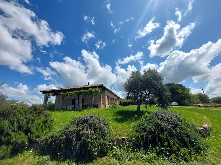 Casa Marte   Casale Nel Verde A 15 Minuti Dal Mare - Magliano in Toscana