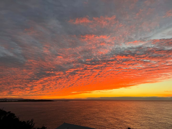 Curly Sunrise - Manly