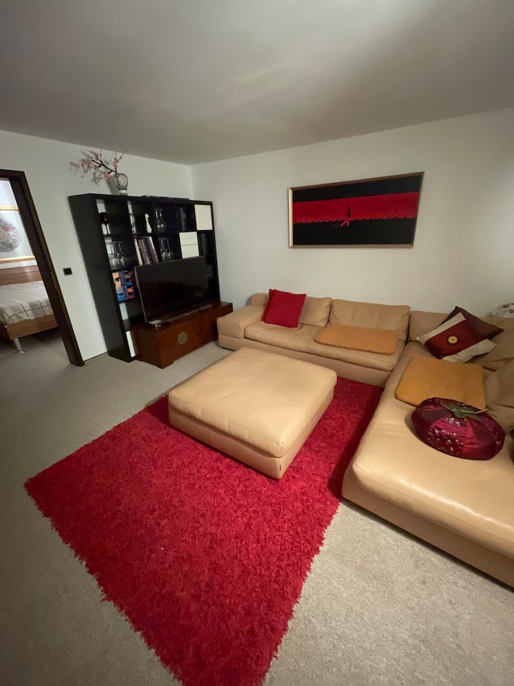 Ferienunterkunft/kurzvermietung - Grünstadt