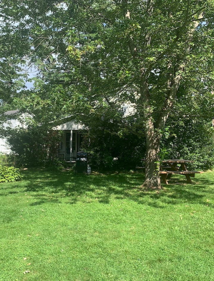 Hens & Chickens Cottage At Cozy Nook - 레이크 조지