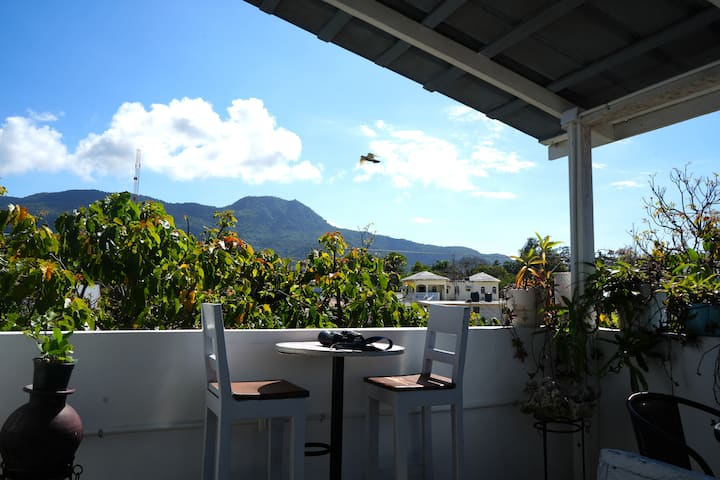 206| Best Value: Wifi,ac,rooftop,gym & Beach Steps - Puerto Plata