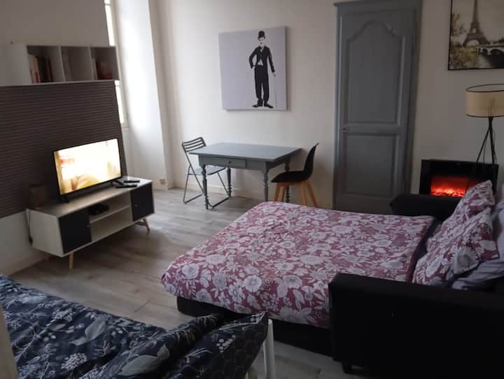 Centre Saintes Studio Netflix 2/3 Voyageurs 2 Lit - Saintes