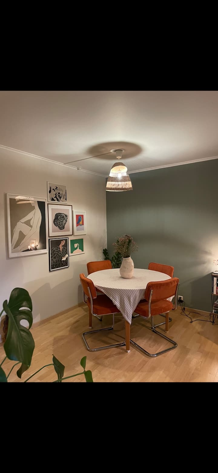 Apartment In Hoffsveien - Oslo