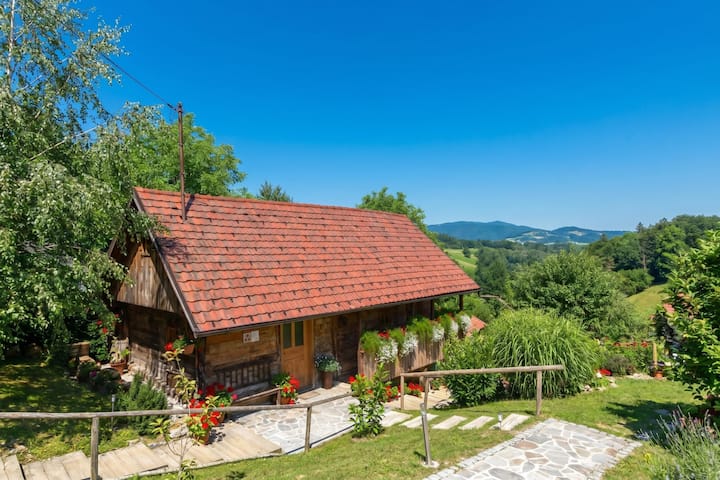 Homestead Bahor With Whirlpool - By Happy Rentals - Slovenia