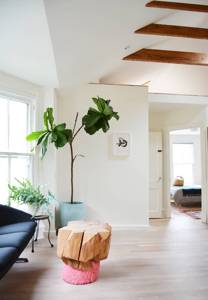 Airy Modern Apartment In The Uptown Kingston - Kingston, NY