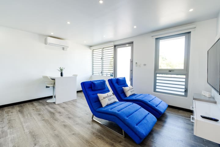 Museum Executive Escape 5m Away The Airport - Puerto Rico