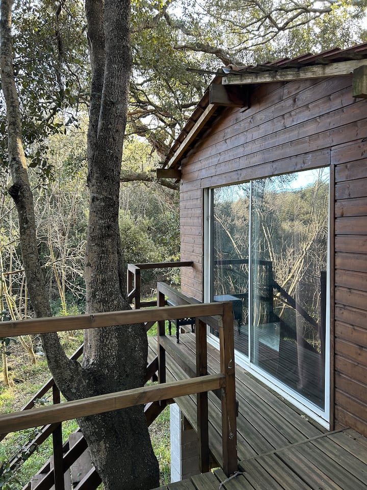 Les 1001 Nuits - Casa Luna - Sisco - Corsica