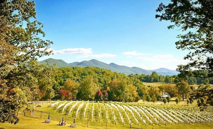 Vineyard Cabin: Wine, Vines, & Views Near W&l,vmi - Virginie