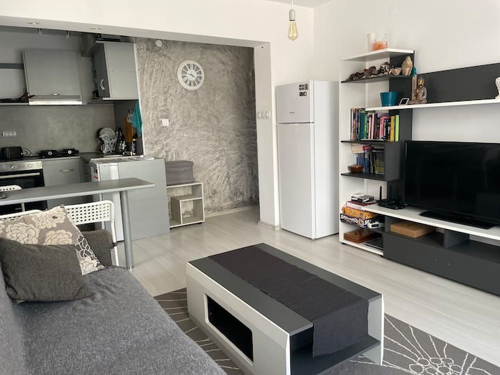 Elena & Simeon's Cozy Apartment - Sofia