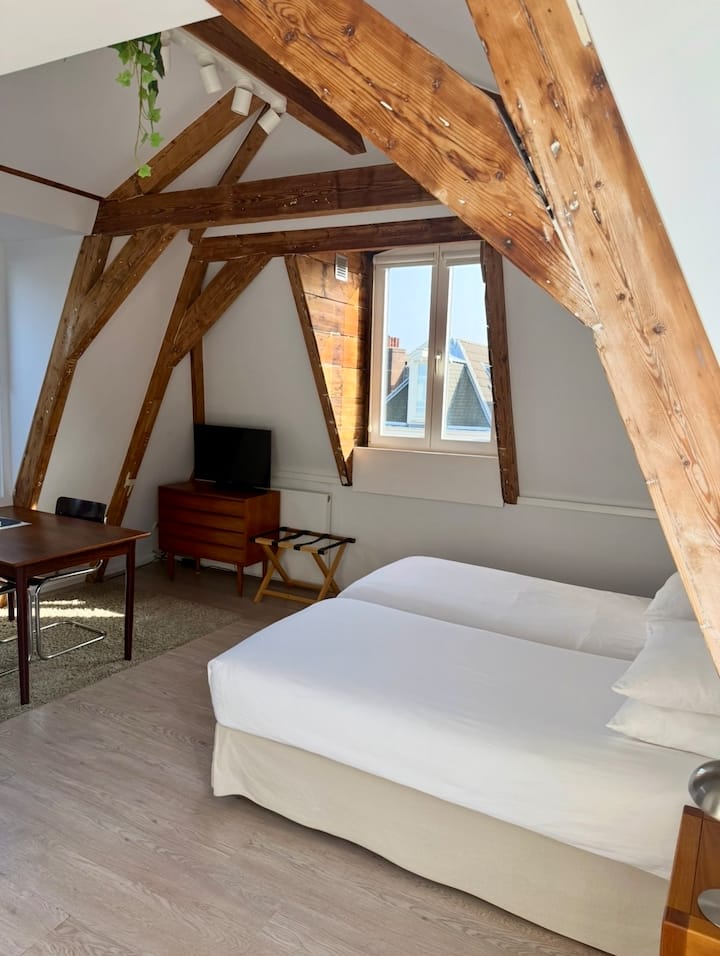 Classic Attic In City Centre, Privat|modern|quiet - Amsterdam