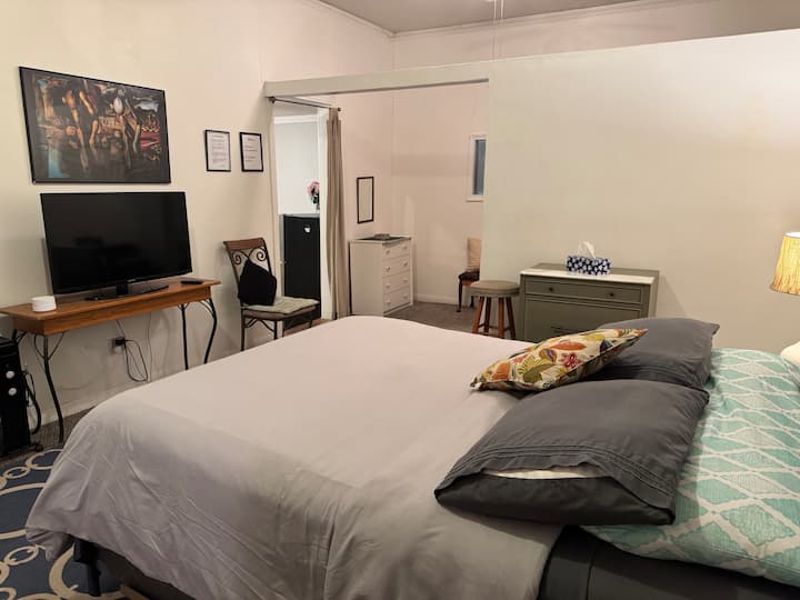 T-g Spacious Unit, Great Value. Midtown Houston - Second Ward - Houston