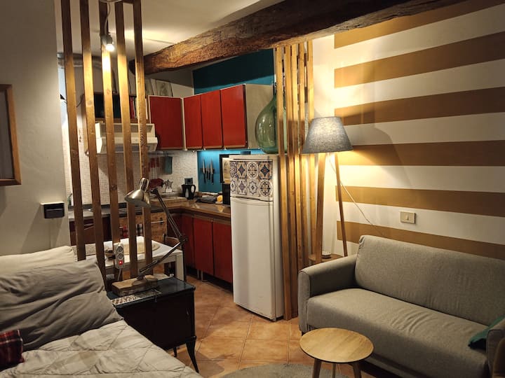 Propaganda Room - Castel Gandolfo